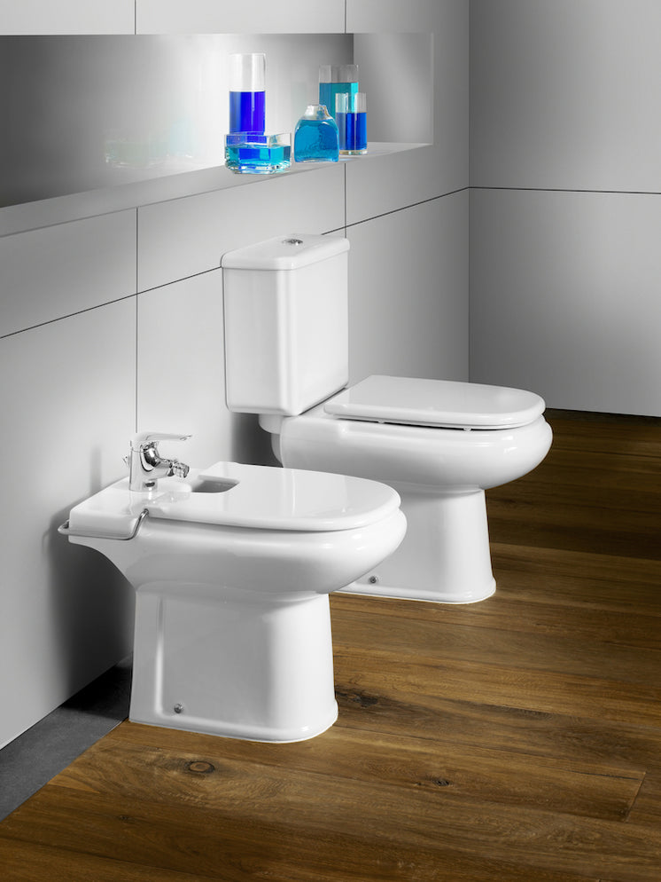 Inodoro Completo ROCA DAMA RETRO - Diseño clásico y elegante — Bañoidea